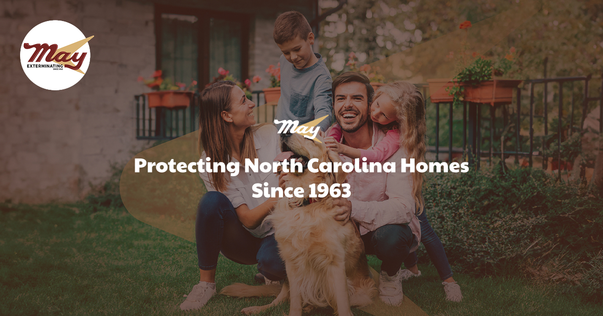 April 2023 Blogs | Jacksonville Pest Control