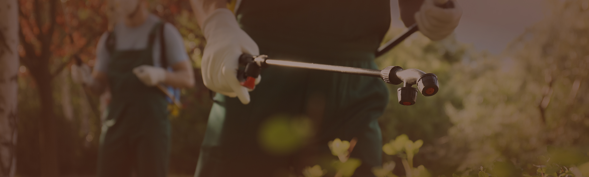 Employee Spotlight: Corey Anderson & Andrea Wray - May Exterminating