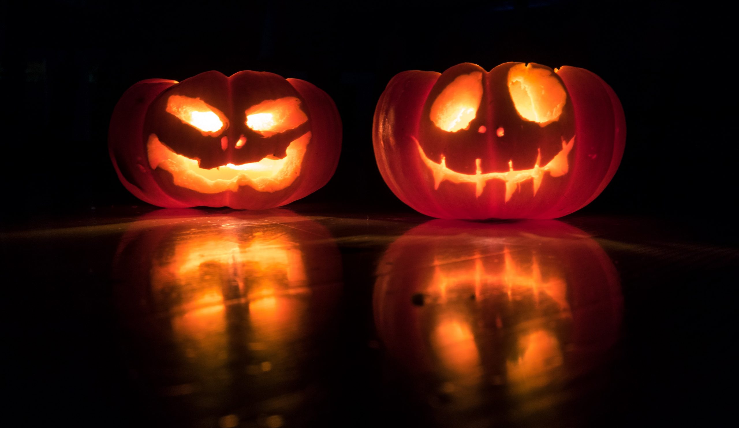 How to Keep Bugs Out of Your Jack-O'-Lantern - May Exterminating