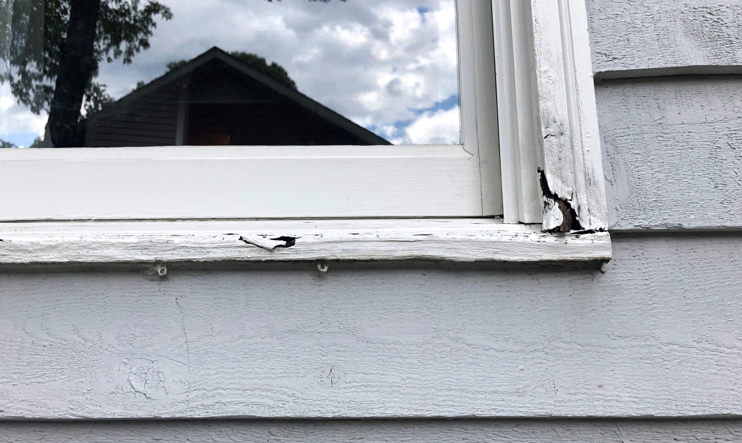 Termite Damage vs. Wood Rot - May Exterminating
